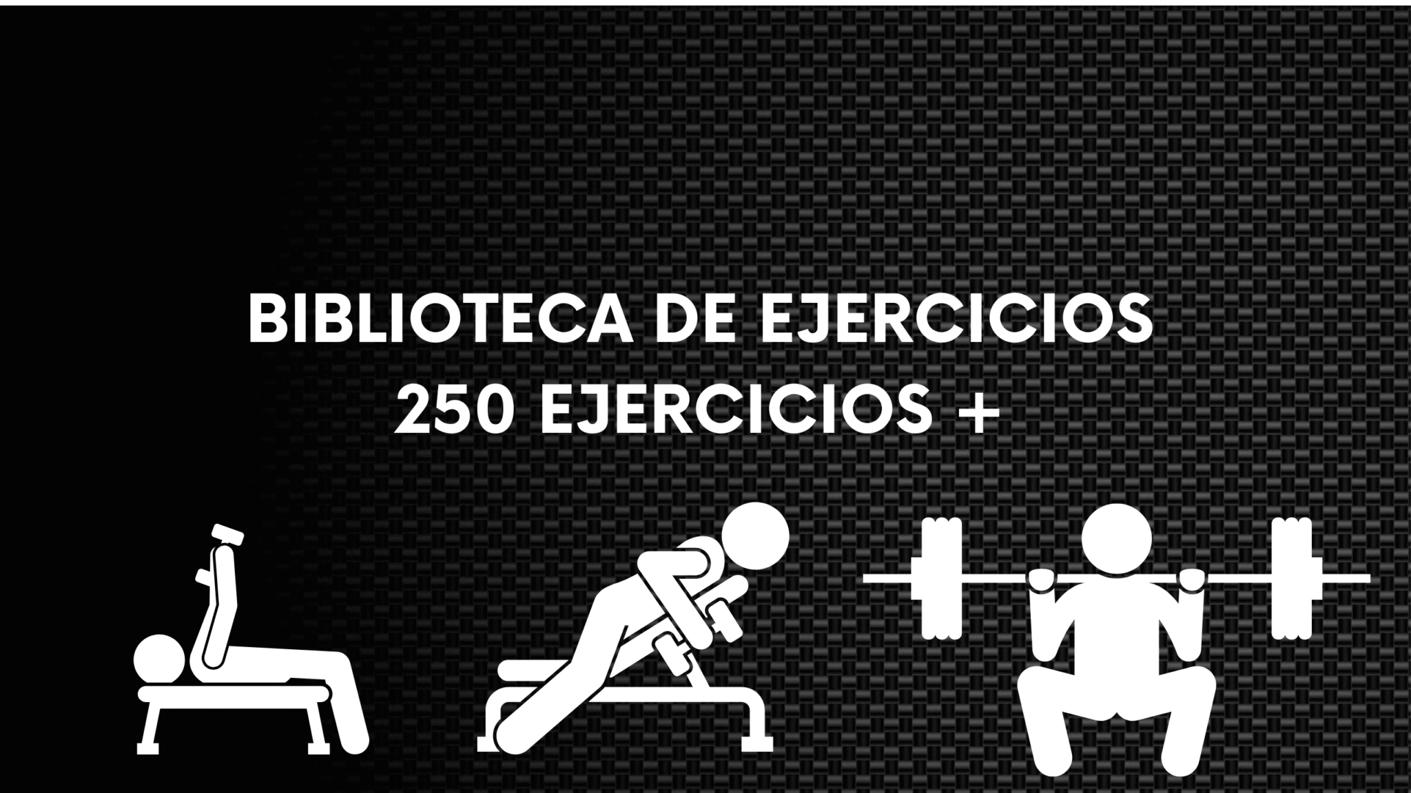 Nerd Training - Academia
